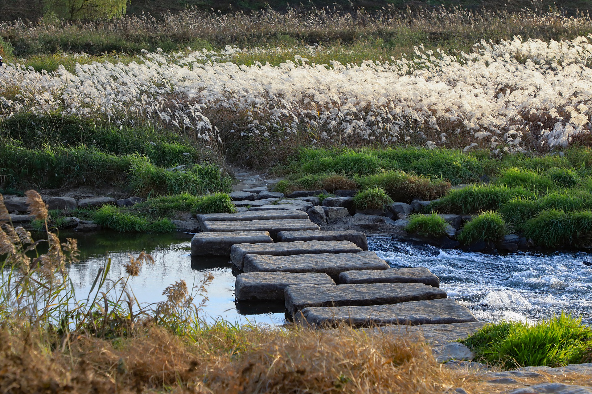 Natural Beauty of South Korea - KoreaAgain 코리아어게인